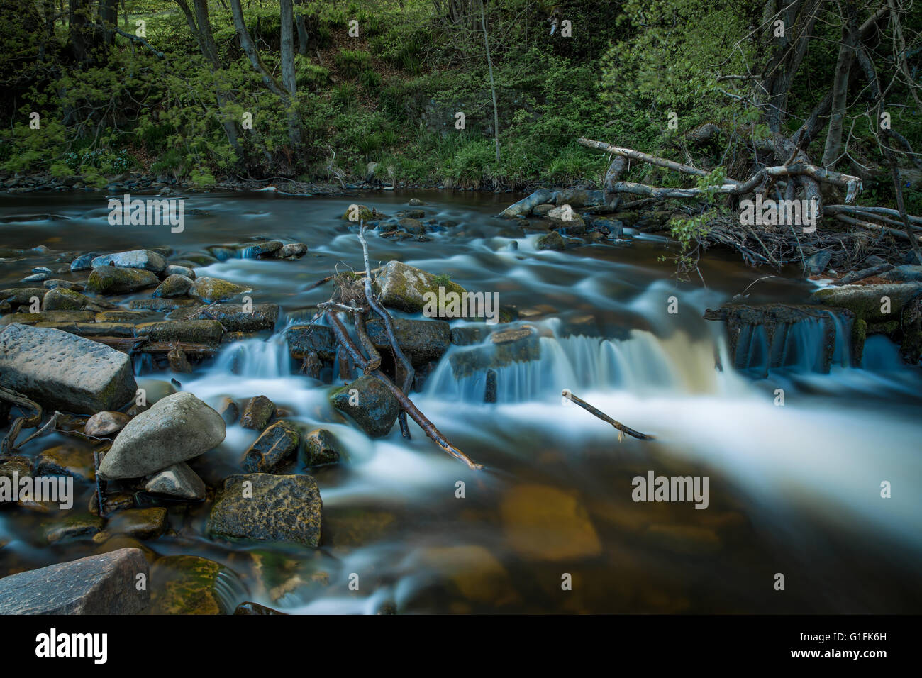 Small stream with waterfalls in the woods Stock Photo - Alamy