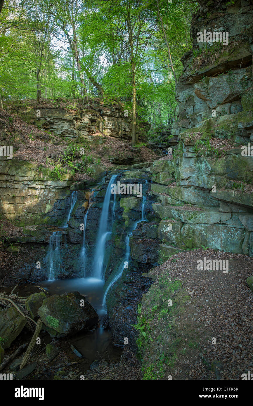 Small stream with waterfalls in the woods Stock Photo - Alamy
