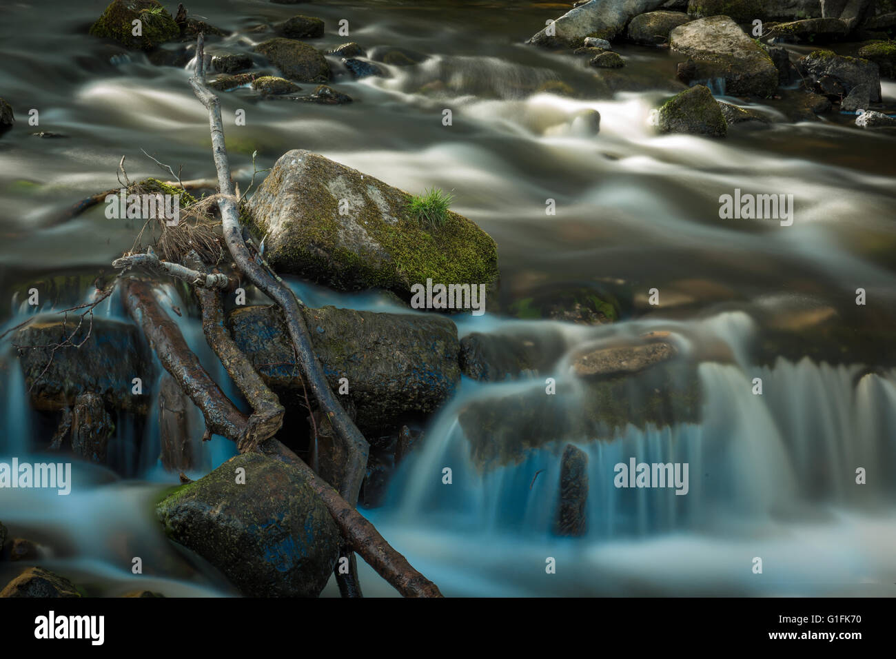 Small stream with waterfalls in the woods Stock Photo - Alamy