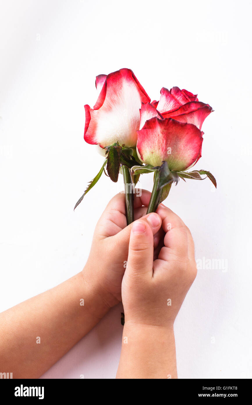 Rose in hand Stock Photo - Alamy