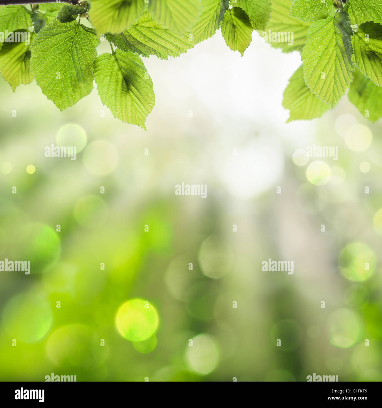 Spring green background Stock Photo - Alamy
