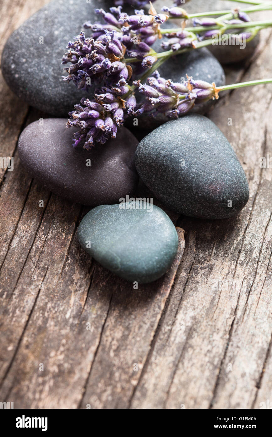 Stones with lavender Stock Photo - Alamy