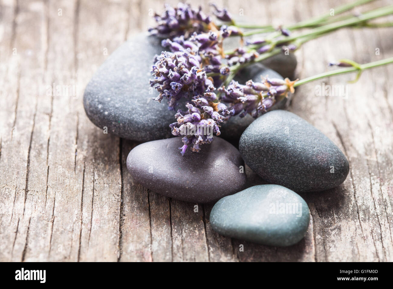 Stones with lavender Stock Photo - Alamy