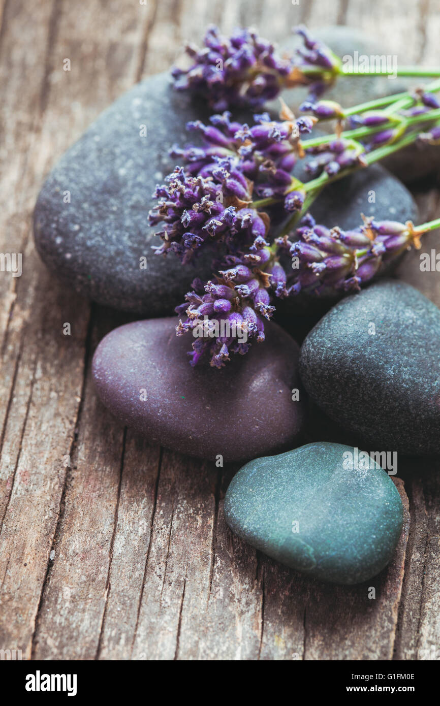 Stones with lavender Stock Photo - Alamy