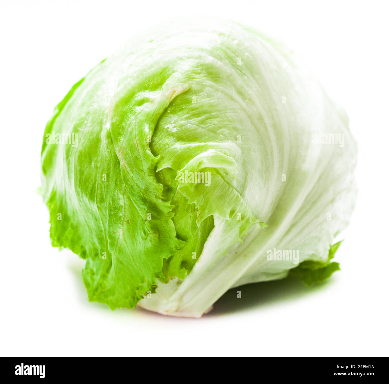 Fresh green Iceberg lettuce Stock Photo - Alamy