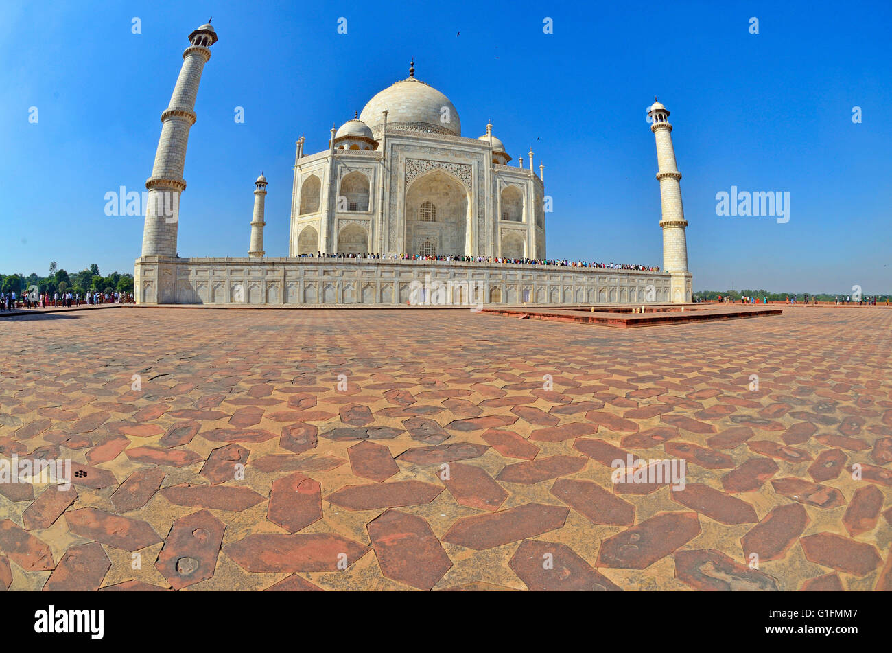 Fisheye fish eye lens hi-res stock photography and images - Alamy