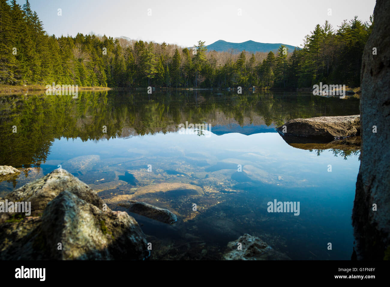 Black pond hi-res stock photography and images - Alamy