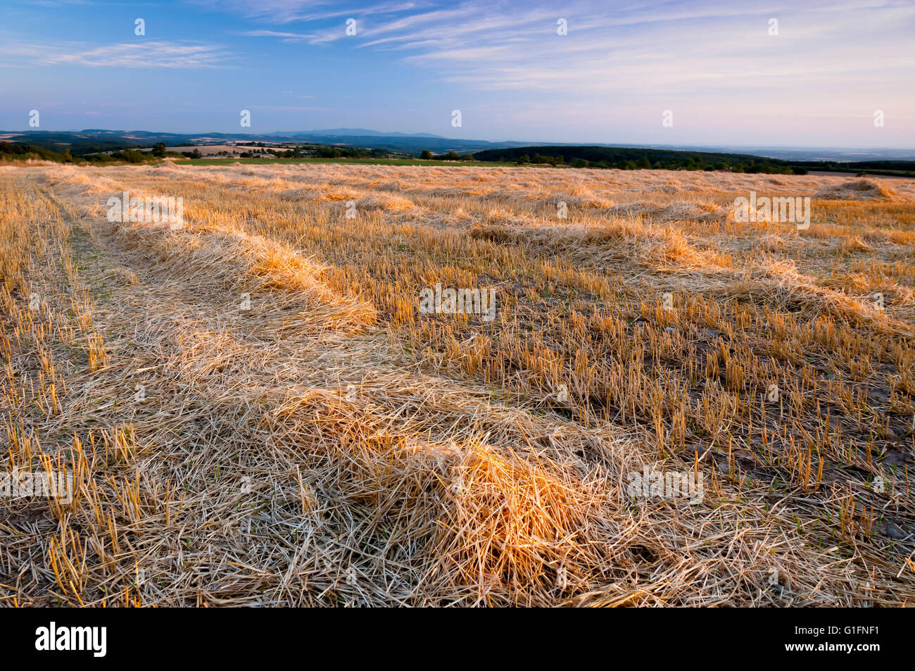 Dry rural field hay hi-res stock photography and images - Alamy
