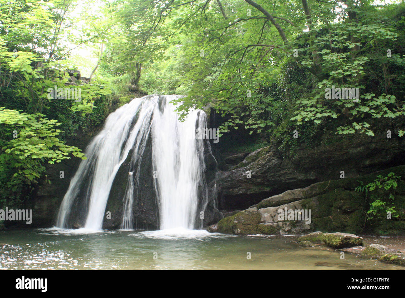 Dry foss hi-res stock photography and images - Alamy