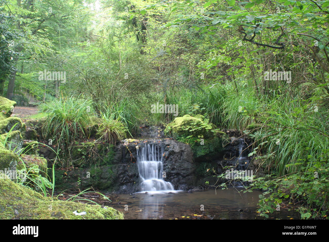 Waterfall in Peasholm Glen Stock Photo - Alamy