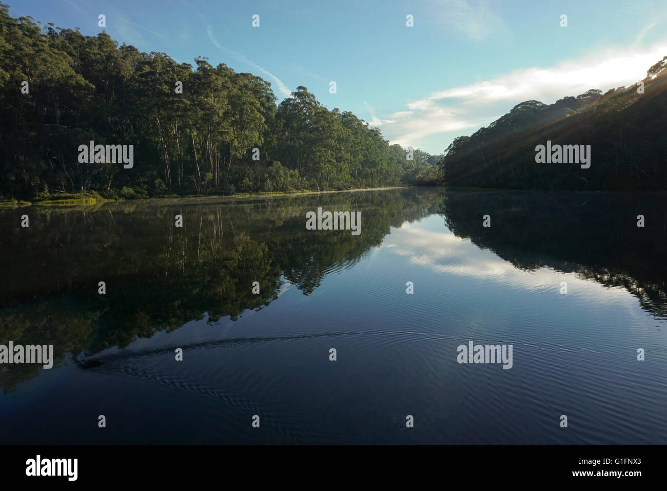Lake Catani at Mt Buffalo, Victoria, Australia and forest at Sunrise ...