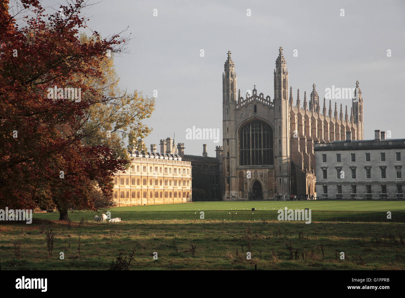 King's College Chapel from the Backs, Cambridge, England on an Autumn ...