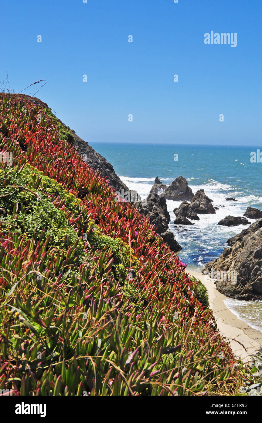 Panoramic view of pacific ocean hi-res stock photography and images - Alamy