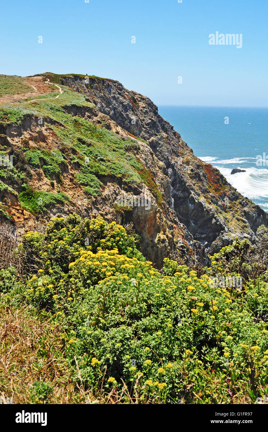 California, Usa: panoramic view of Pacific Ocean in Bodega Bay, known ...