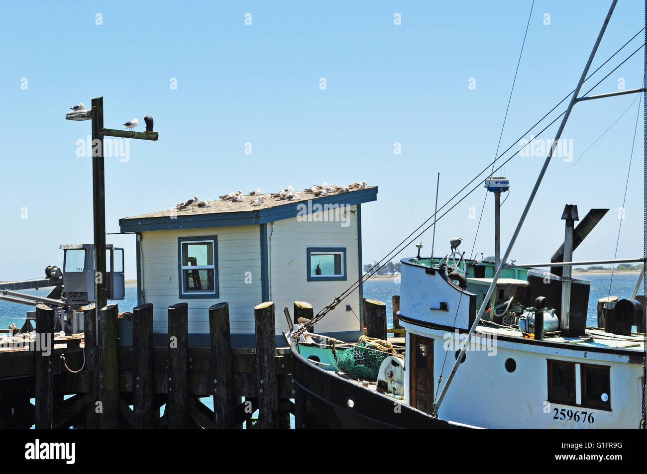 California: a fishing boat in Bodega Harbor in Bodega Bay, the setting ...