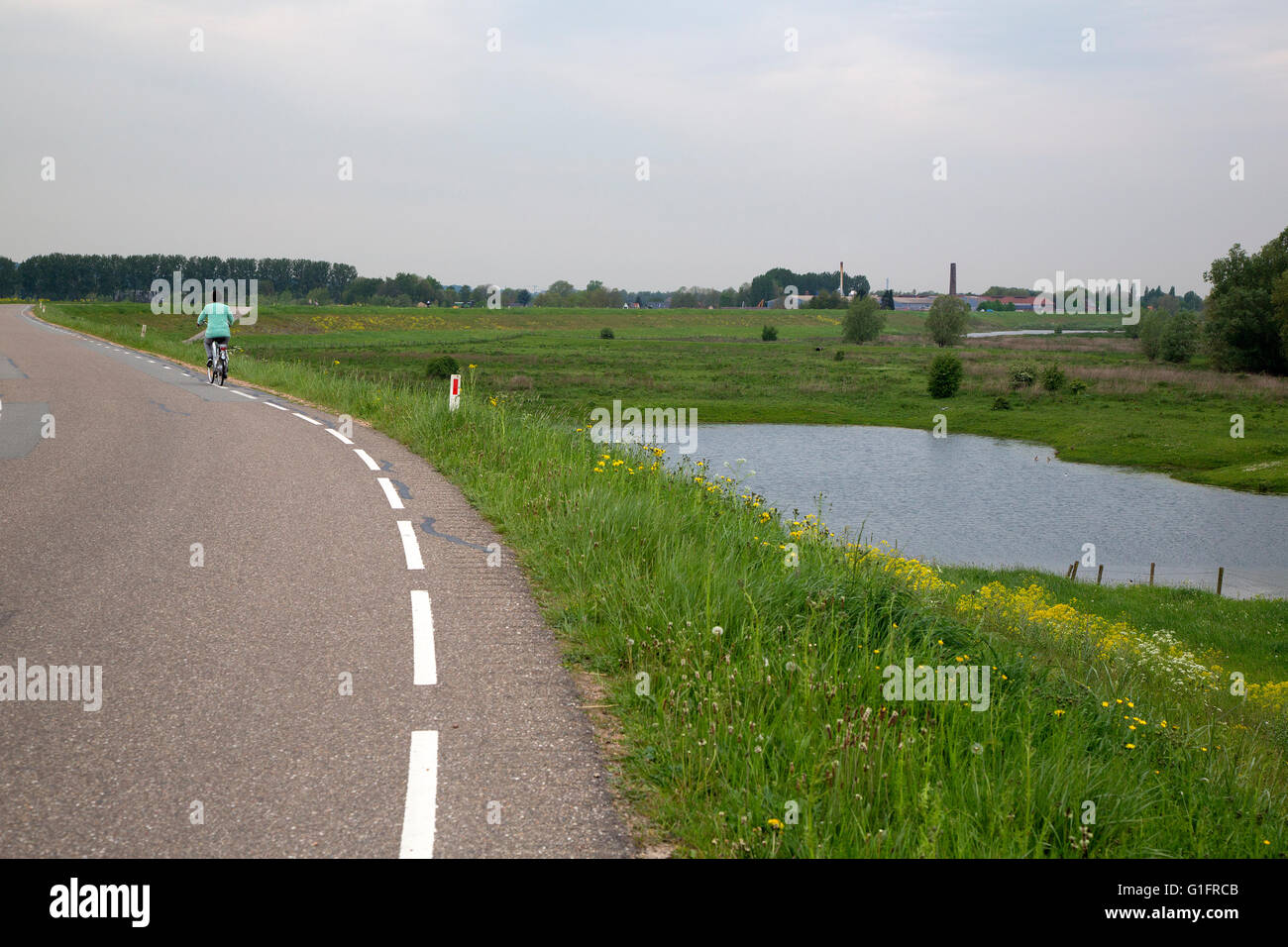 Dike and foreland of Dutch river Waal, Ooijpolder, Gelderland ...