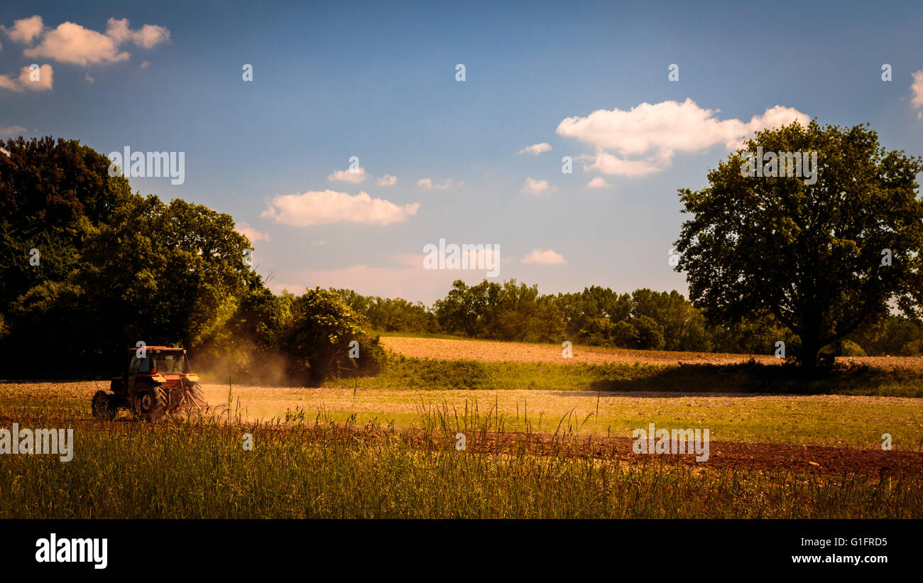 a tractor working in the fields of Italy Stock Photo - Alamy