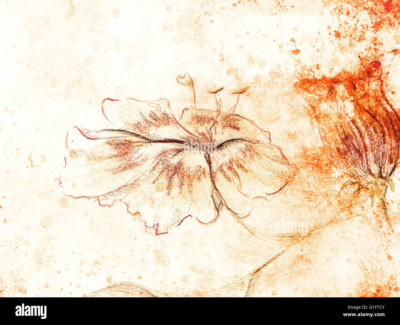 Color drawing flower. Original hand draw and computer collage. Color ...