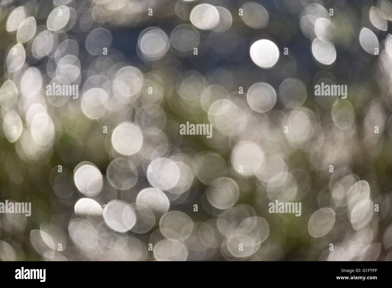 Focused and unfocused hi-res stock photography and images - Alamy