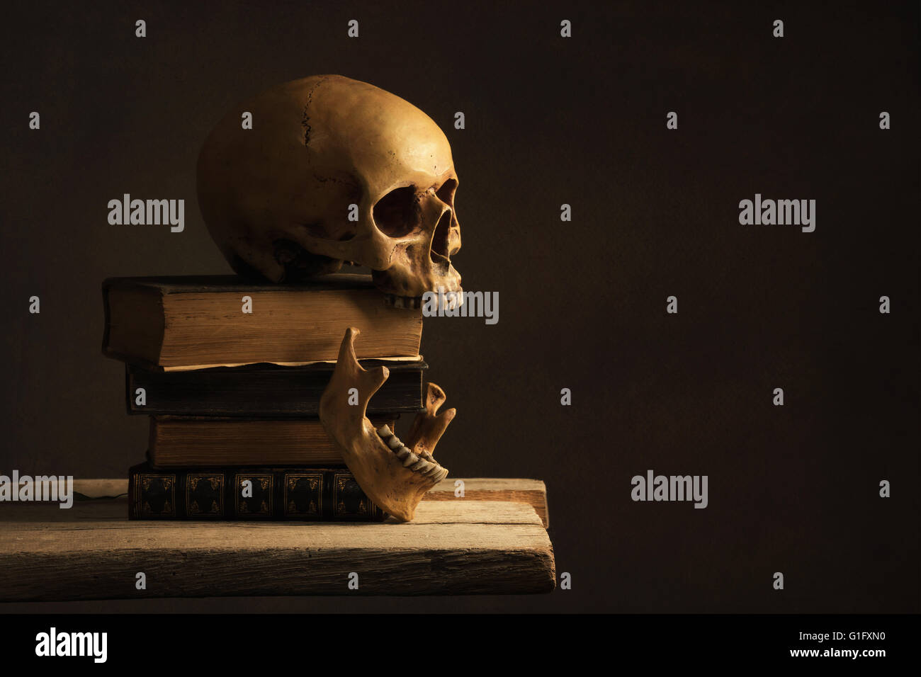 Human skull books on hi-res stock photography and images - Alamy