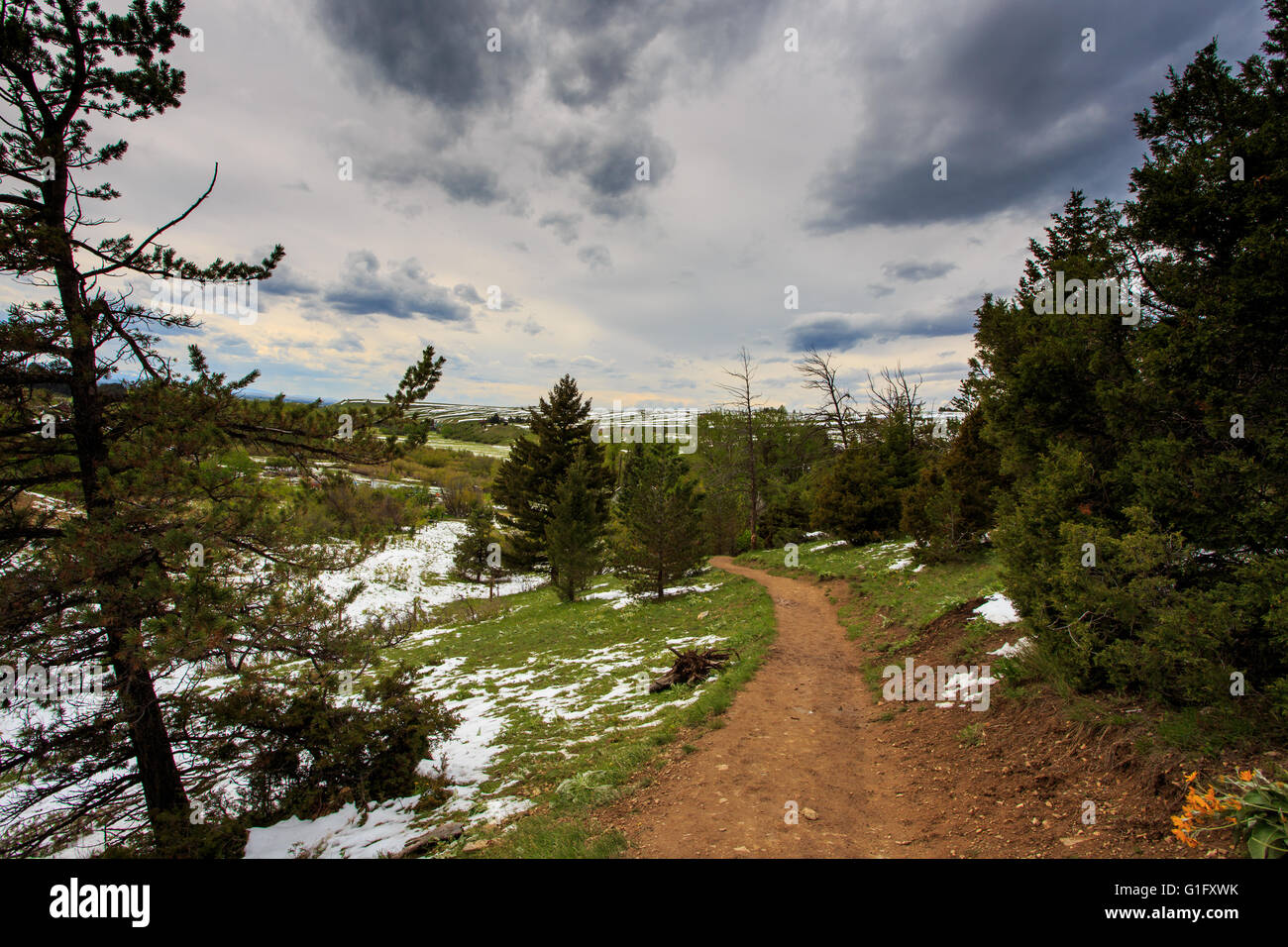 Hiking trail with landscape, trees, and snow Stock Photo - Alamy