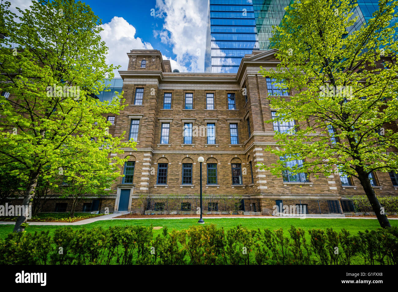 The MaRS Centre, in the Discovery District, Toronto, Ontario Stock ...