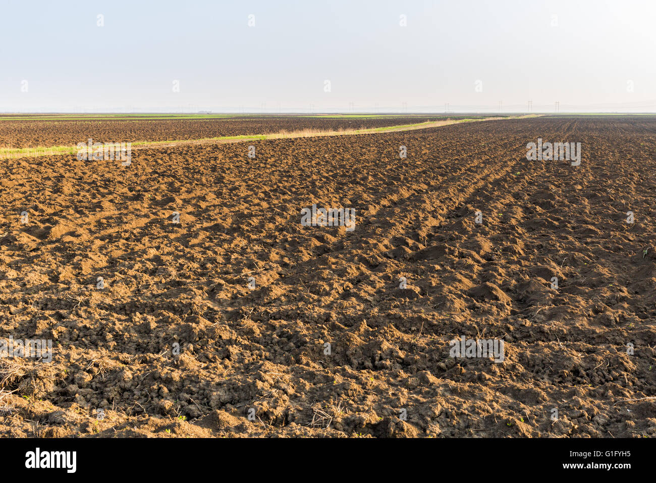 Agricultural landscape, arable crop field Stock Photo - Alamy