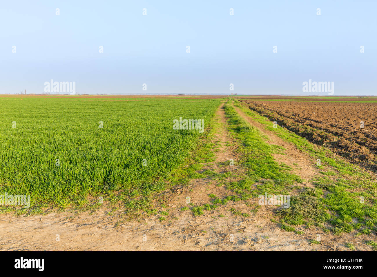 Agricultural landscape, arable crop field Stock Photo - Alamy