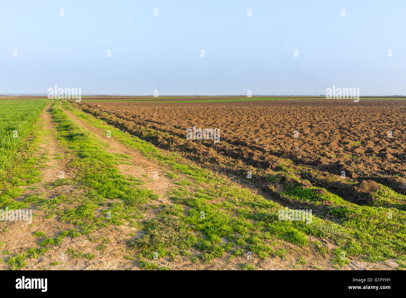 Agricultural landscape, arable crop field Stock Photo - Alamy