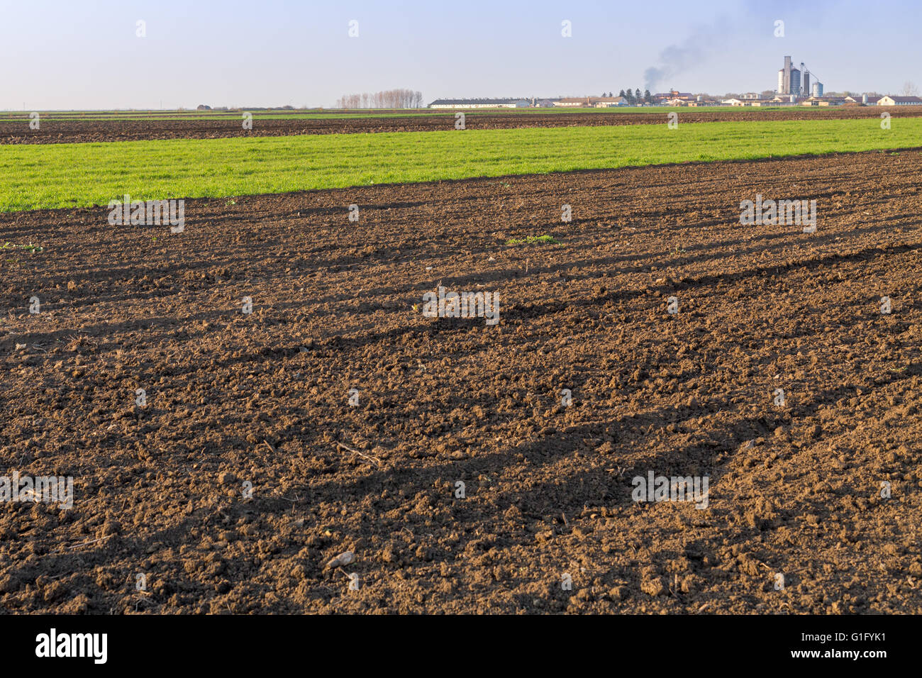 Agricultural landscape, arable crop field Stock Photo - Alamy
