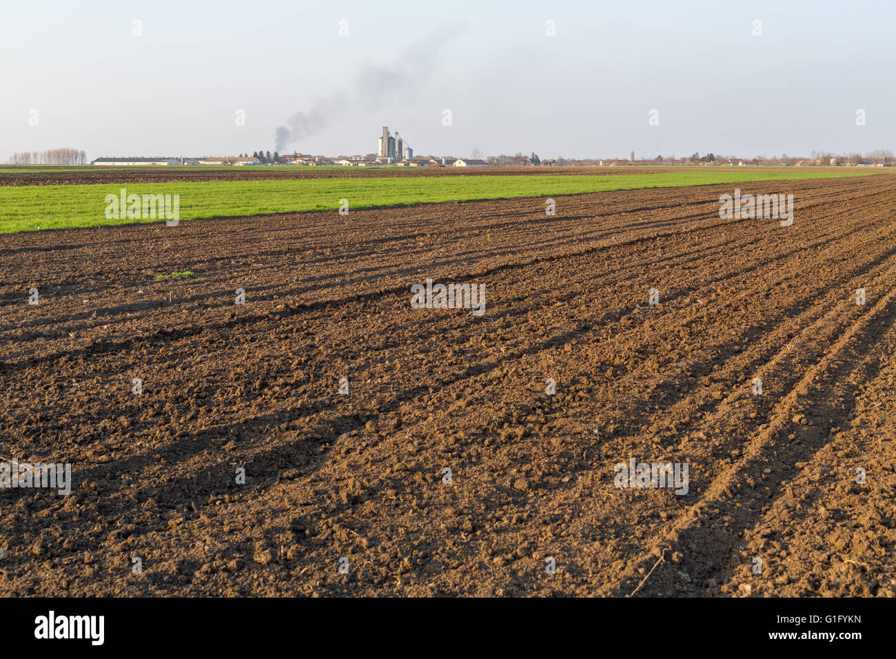 Agricultural landscape, arable crop field Stock Photo - Alamy