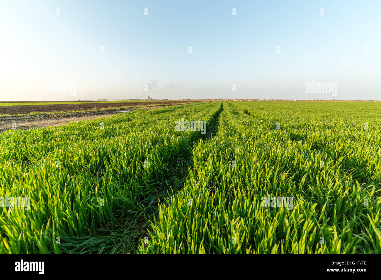 Agricultural landscape, arable crop field Stock Photo - Alamy