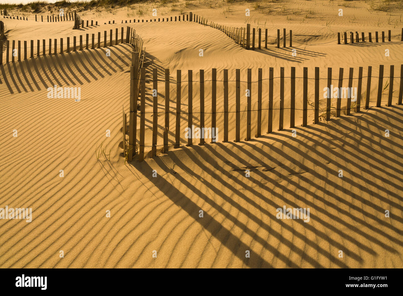 Beach fencing on an ocean beach in late afternoon Stock Photo - Alamy