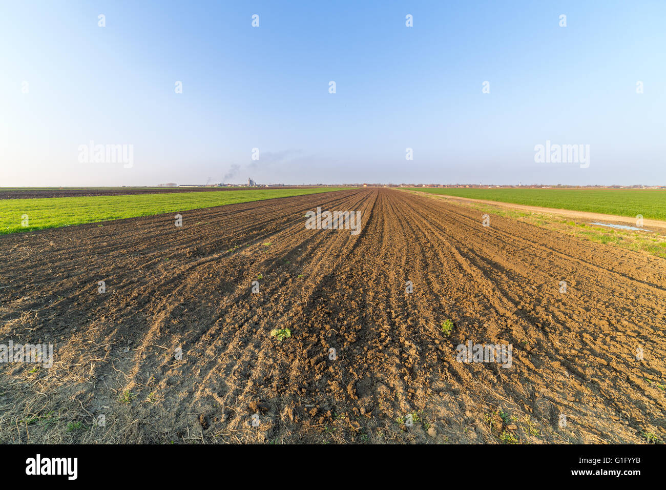 Agricultural landscape, arable crop field Stock Photo - Alamy
