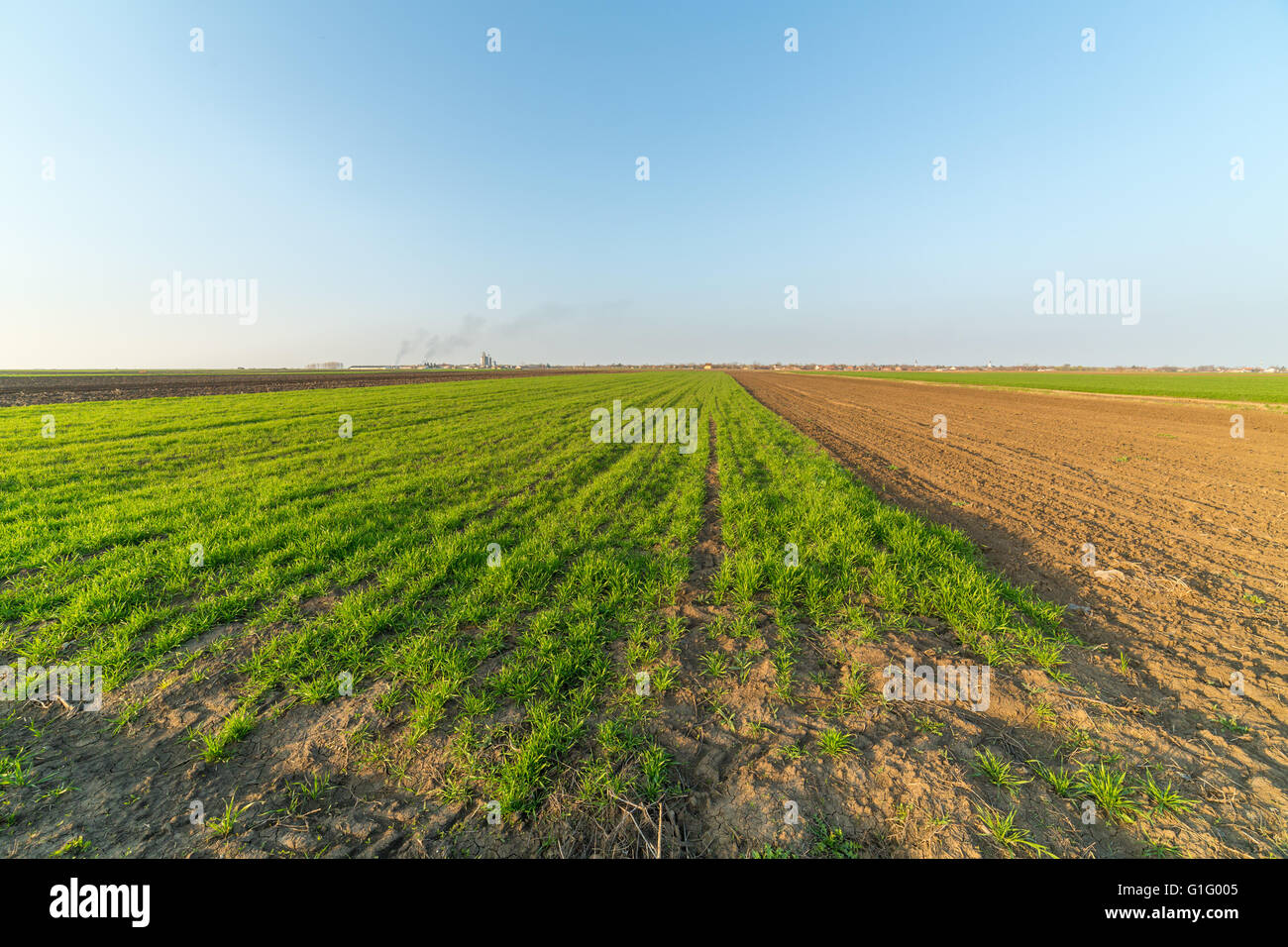 Cultivation of arable crops hi-res stock photography and images - Alamy