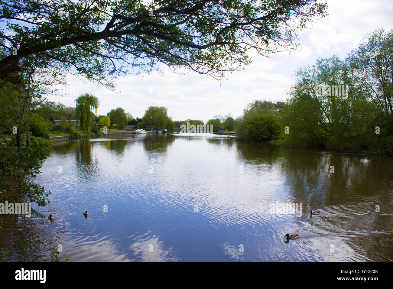 View of River Thames at Wallingford, Oxfordshire, UK Stock Photo - Alamy