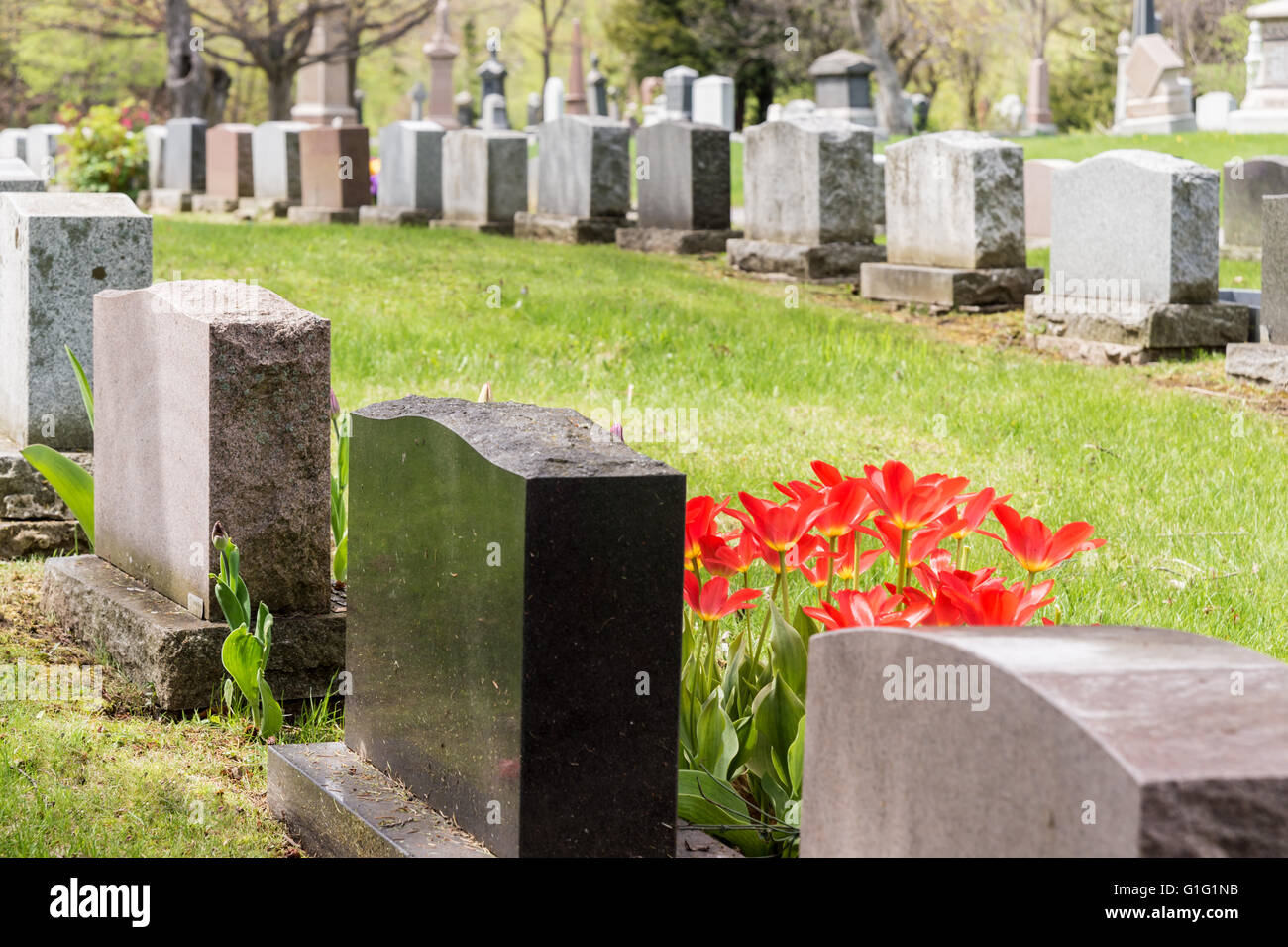 American headstones hi-res stock photography and images - Alamy