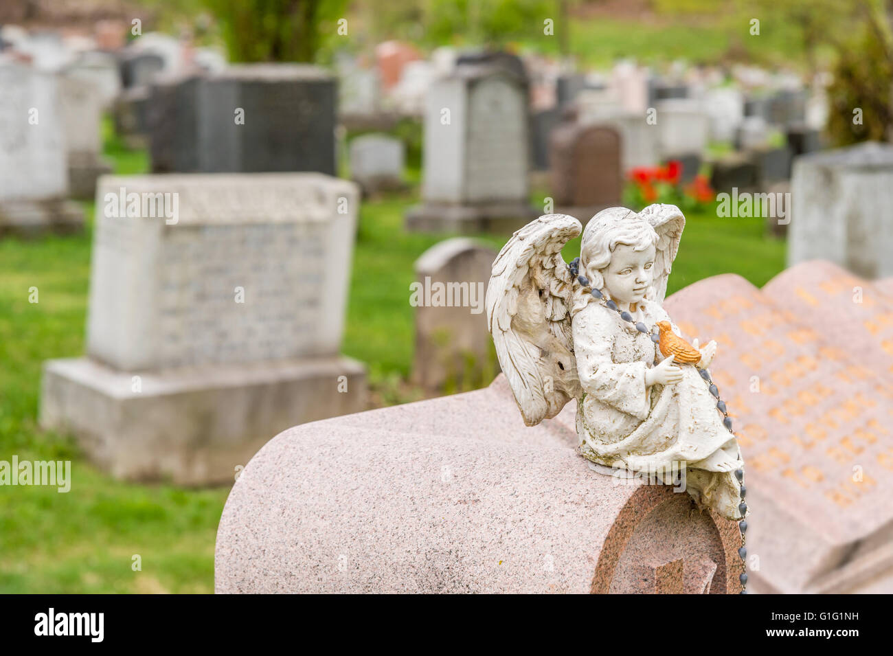Statue of cherub holding a bird and sitting on a headstone in a ...