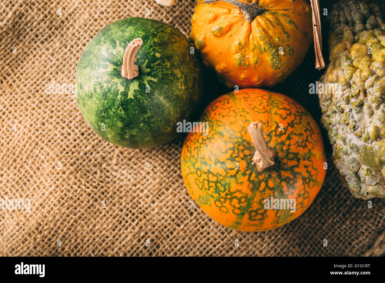 Gourds still life Stock Photo - Alamy