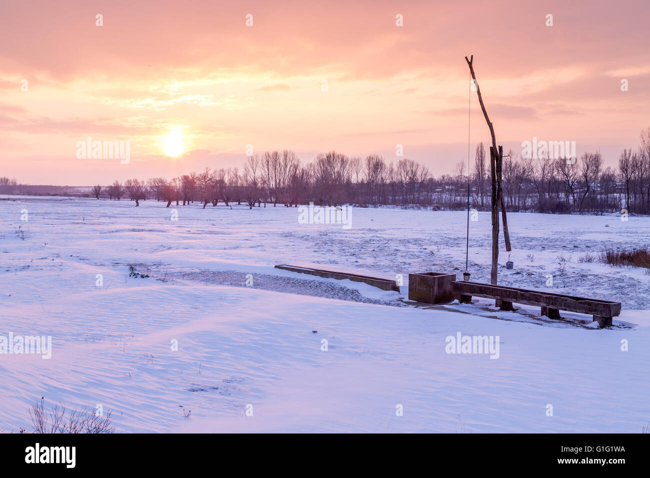 Well tree hi-res stock photography and images - Alamy