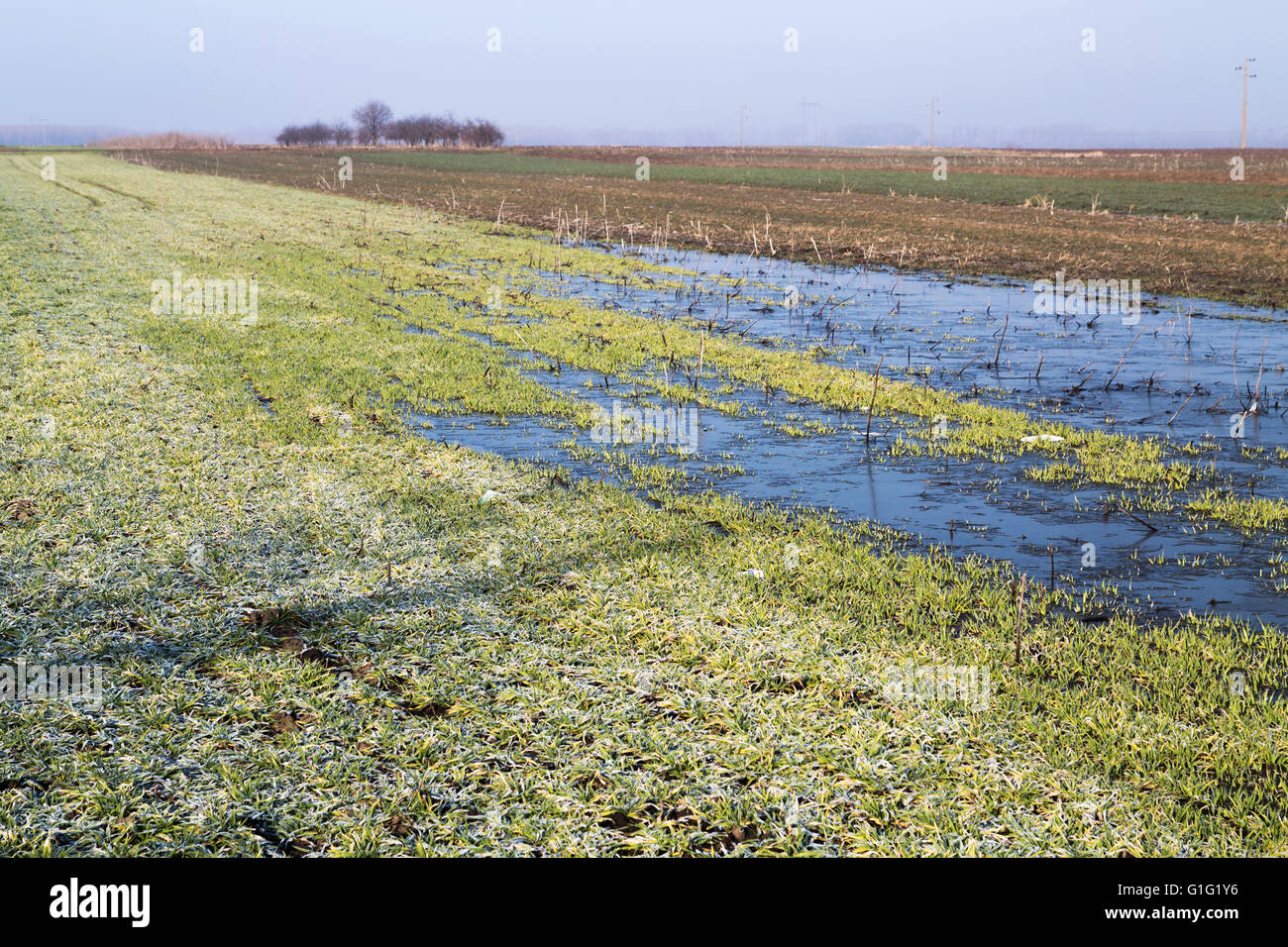 Flooded agricultural field at winter Stock Photo - Alamy