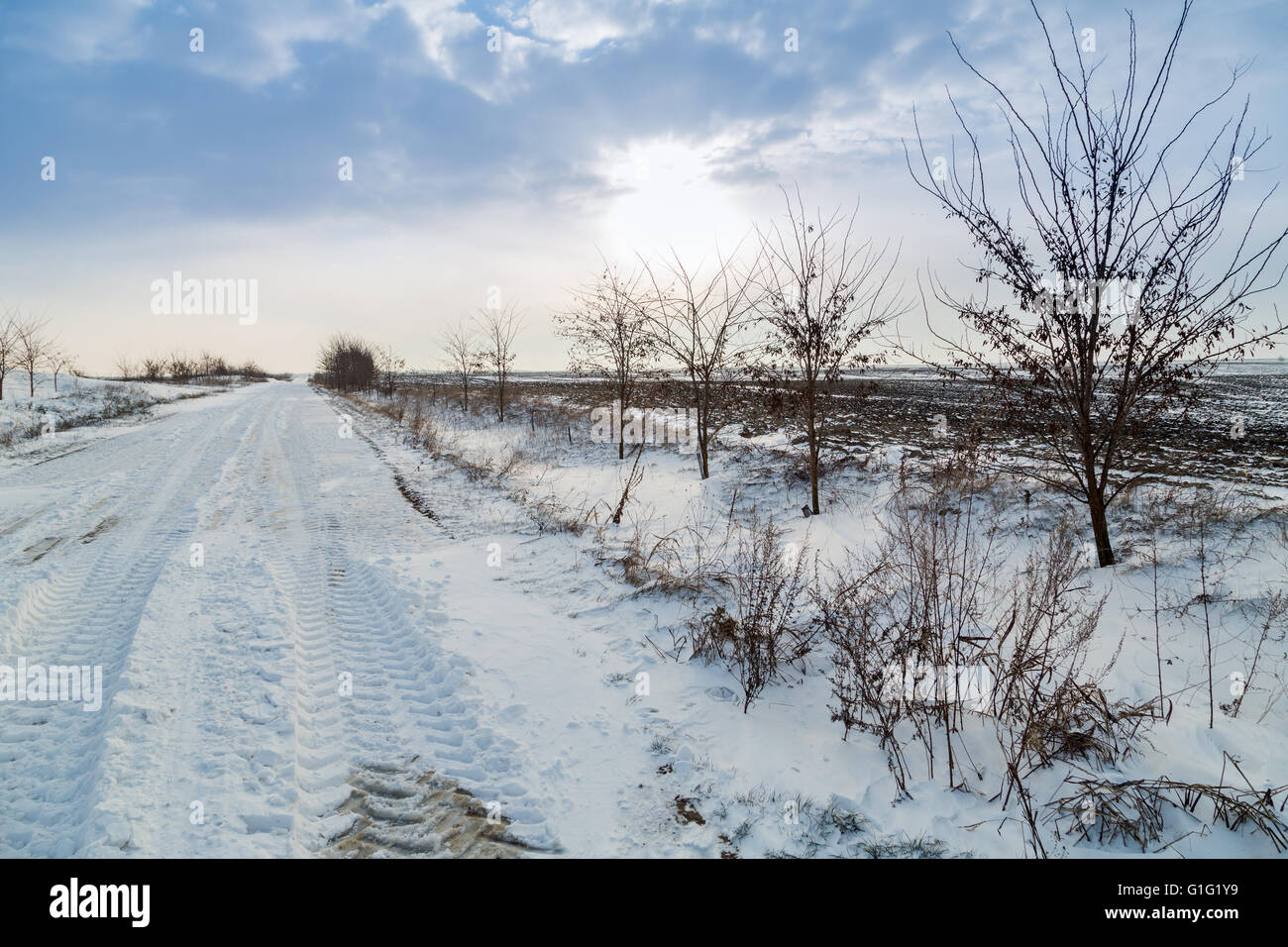 Agricultural road hi-res stock photography and images - Alamy