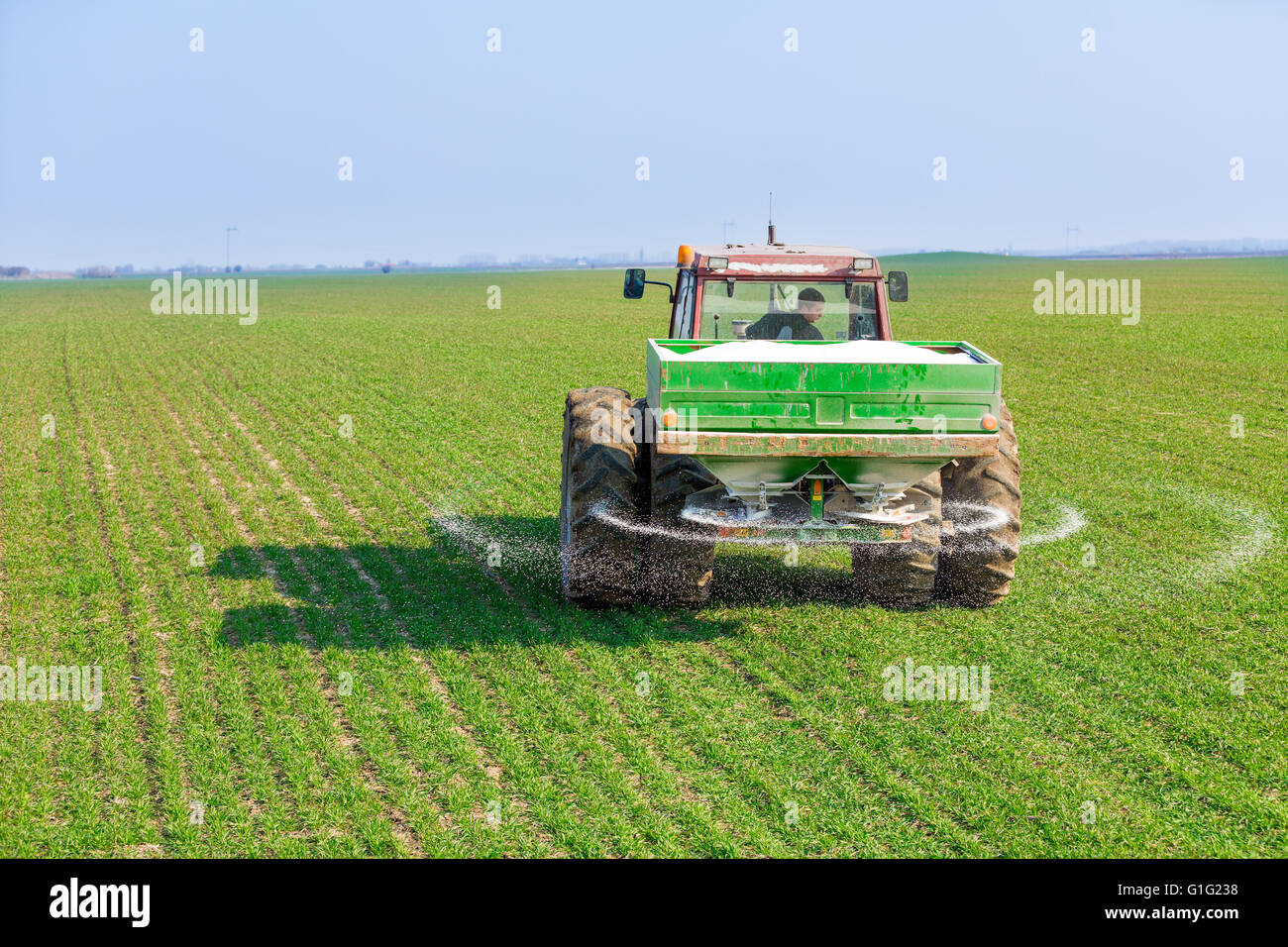 Farmer in tractor fertilizing wheat field at spring with npk Stock ...