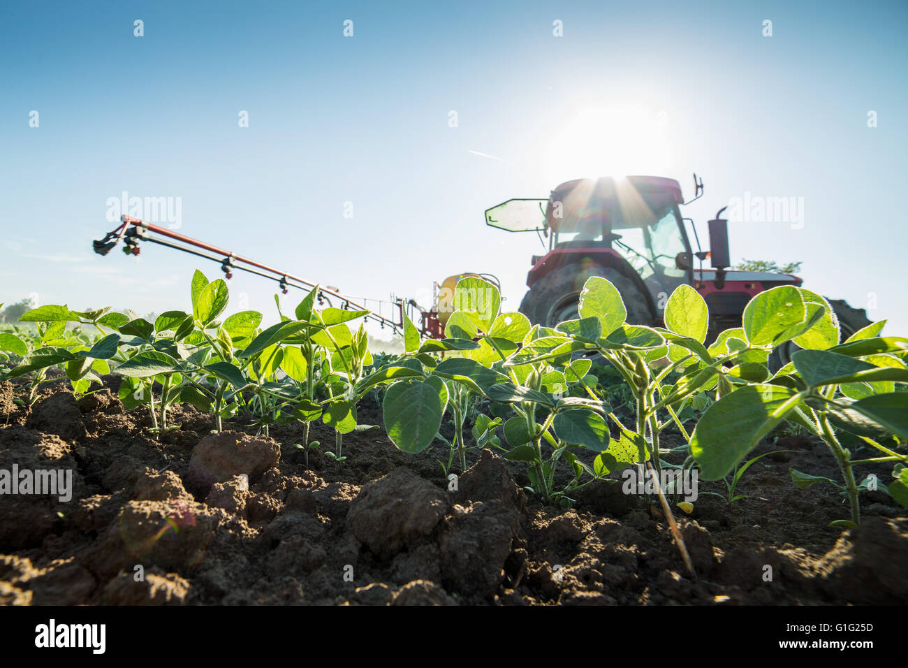 Tractor spraying soybean crops with pesticides and herbicides Stock ...
