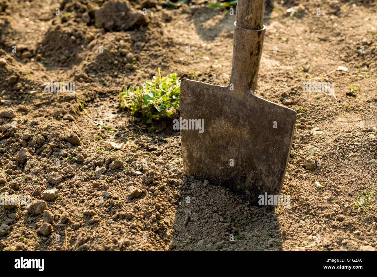 Shovel in the garden Stock Photo - Alamy