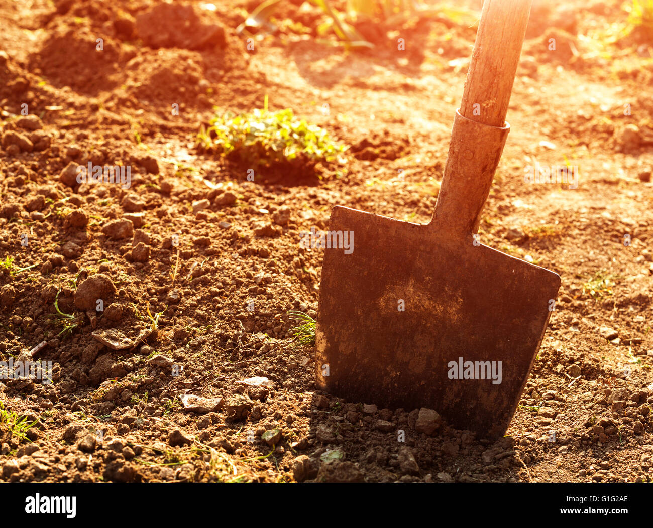 Shovel in the garden Stock Photo - Alamy