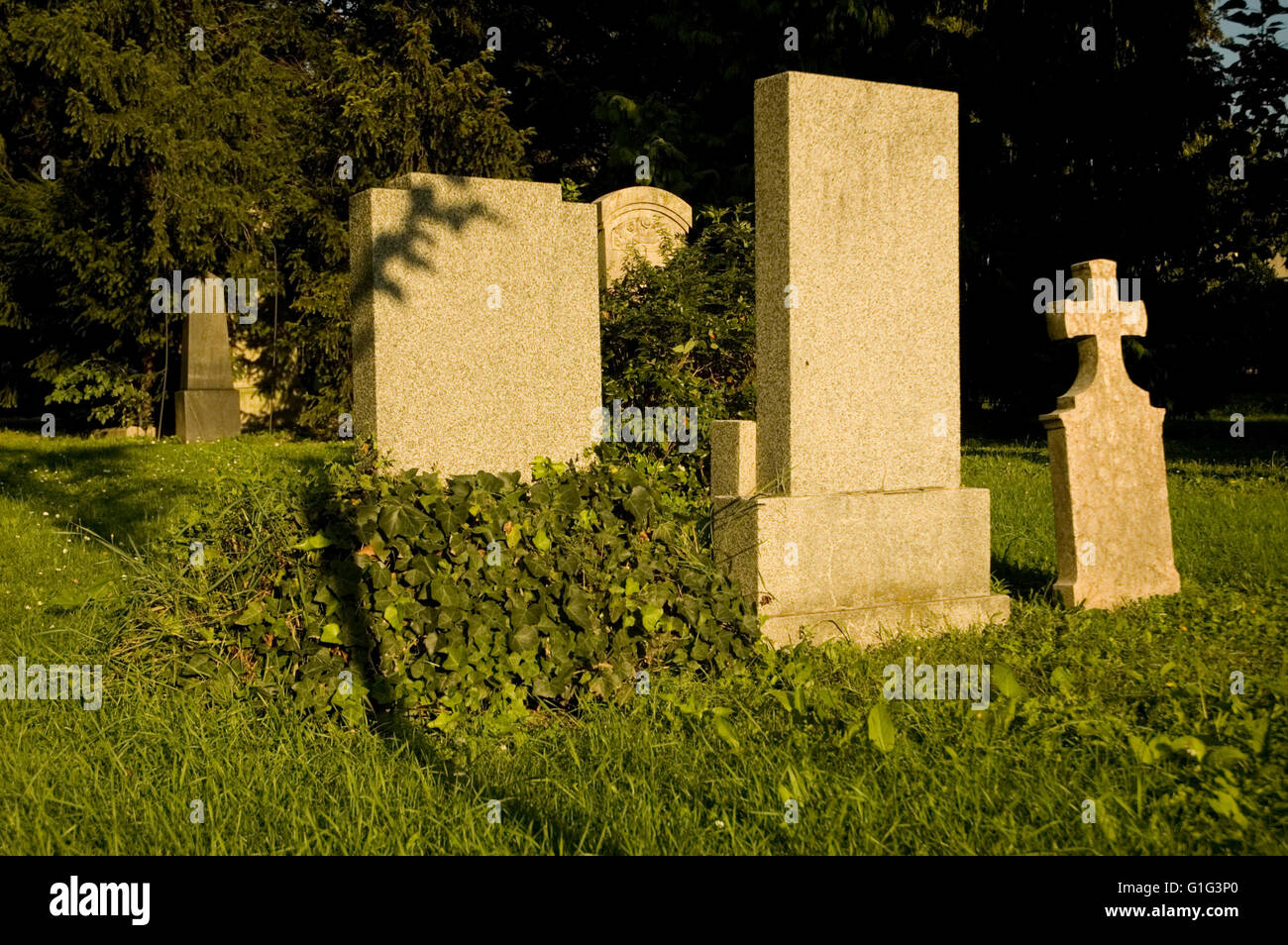 Religious cemetery with fresh green trees and grass Stock Photo - Alamy