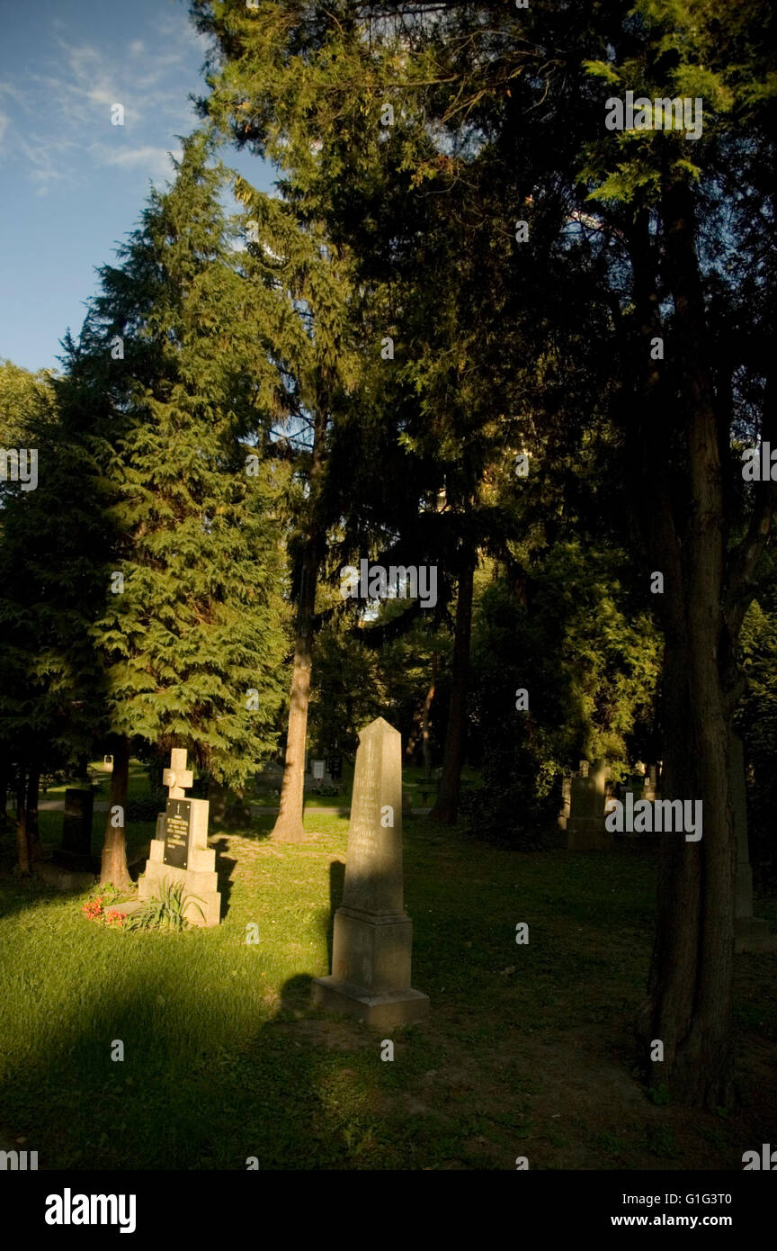 Religious cemetery with fresh green trees and grass Stock Photo - Alamy