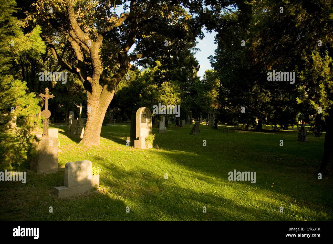 Religious cemetery with fresh green trees and grass Stock Photo - Alamy