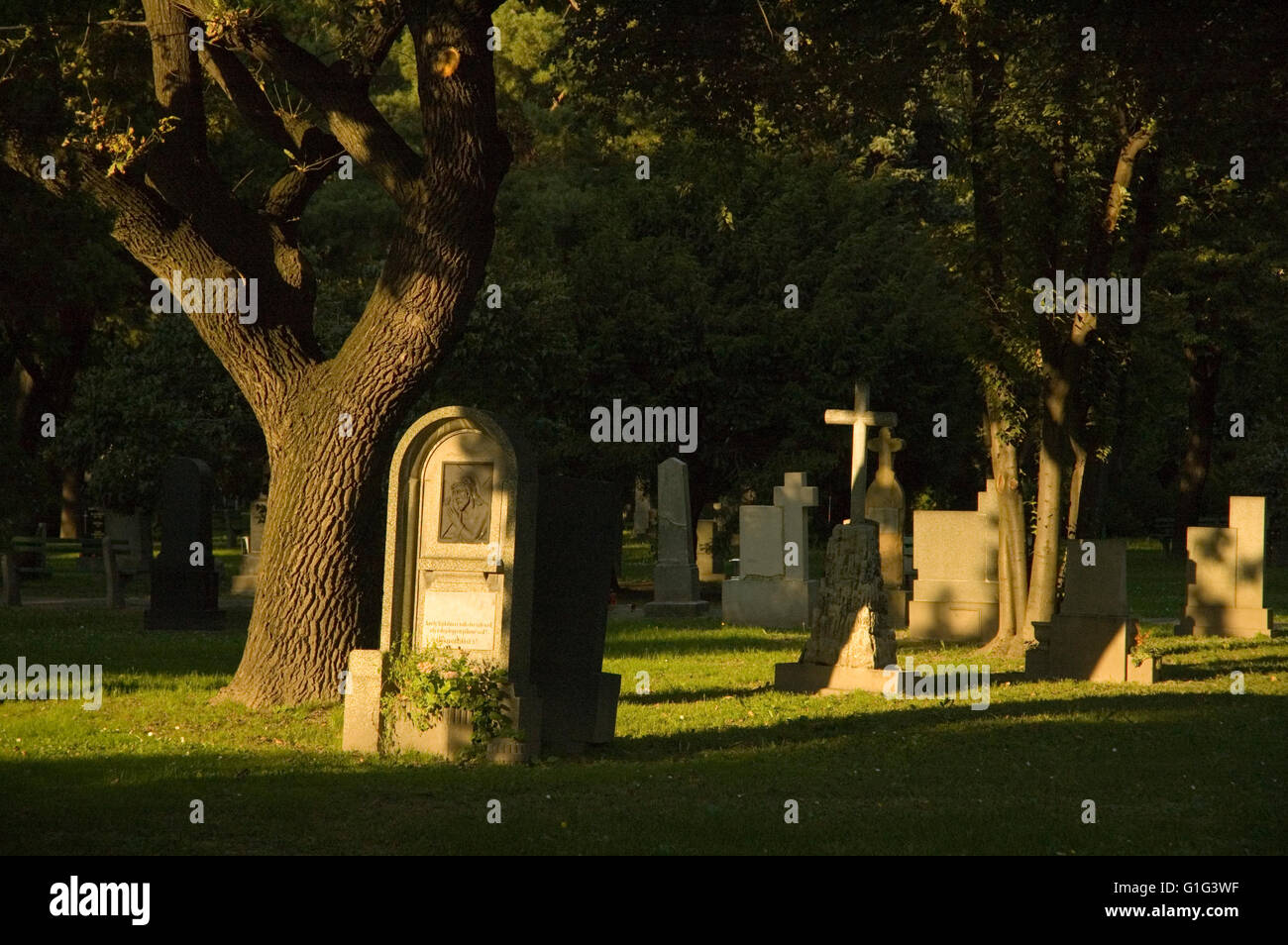 Religious cemetery with fresh green trees and grass Stock Photo - Alamy
